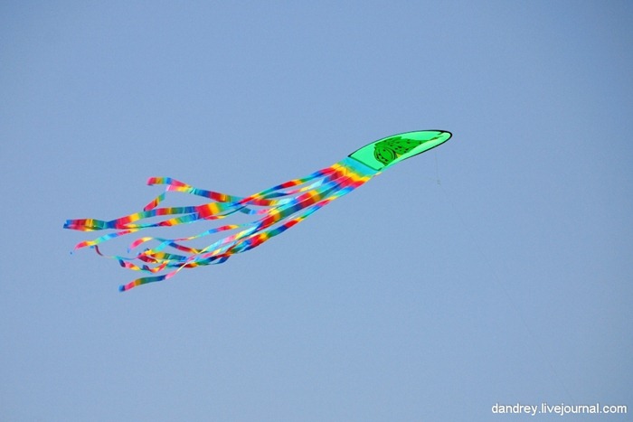 Japanese Kite Festival in Haifa | Amusing Planet